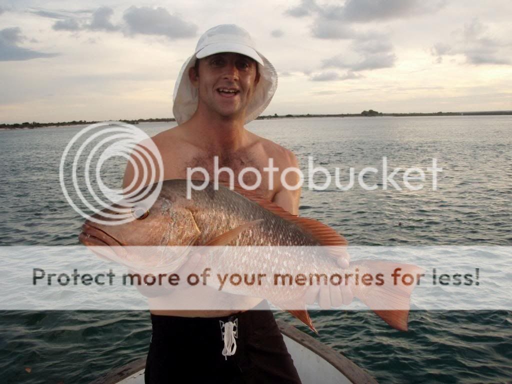 A tribute to the River Snapper.