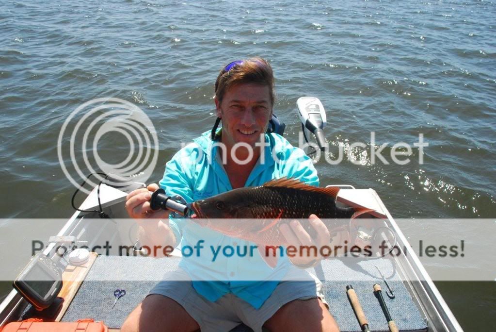 A tribute to the River Snapper.