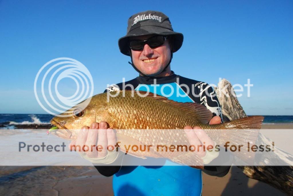 A tribute to the River Snapper.