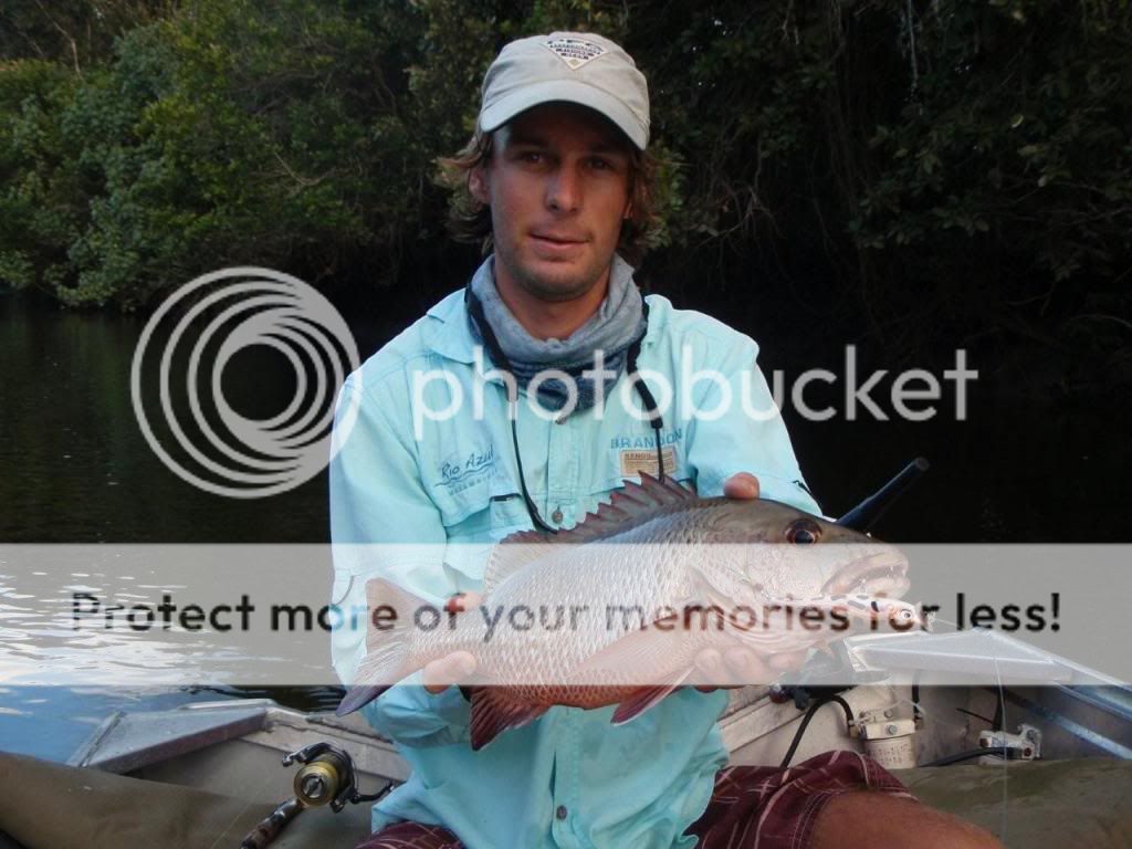 A tribute to the River Snapper.