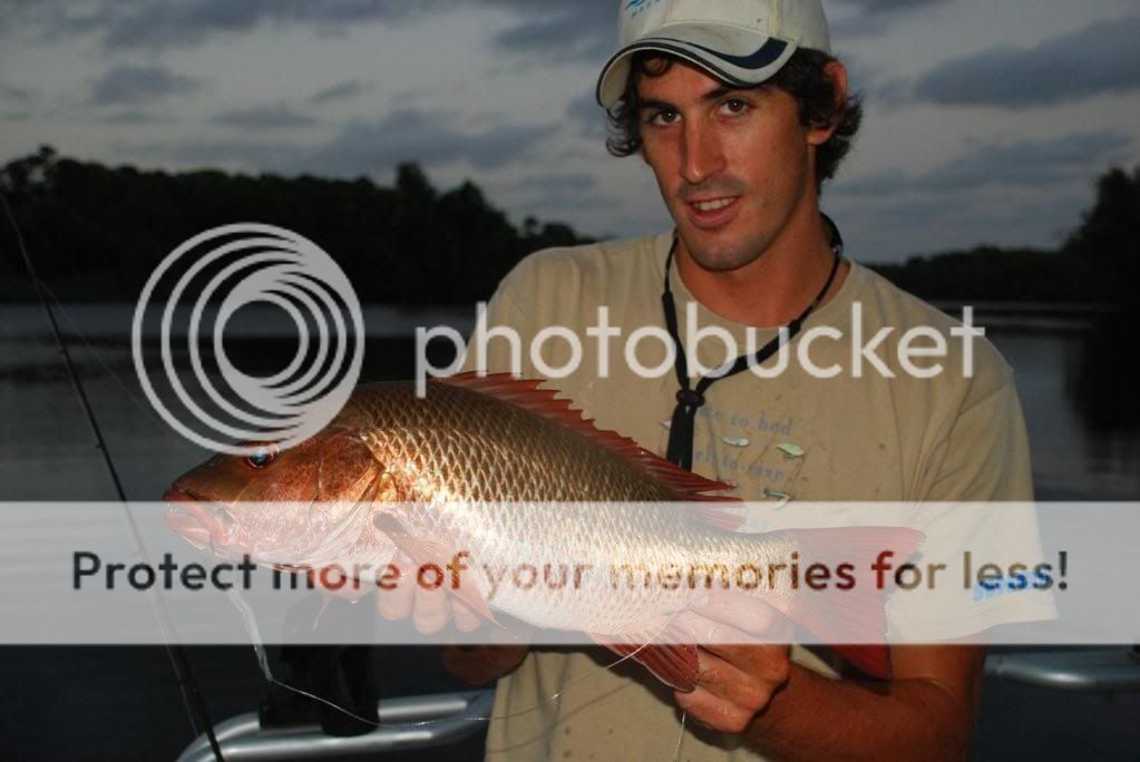 A tribute to the River Snapper.