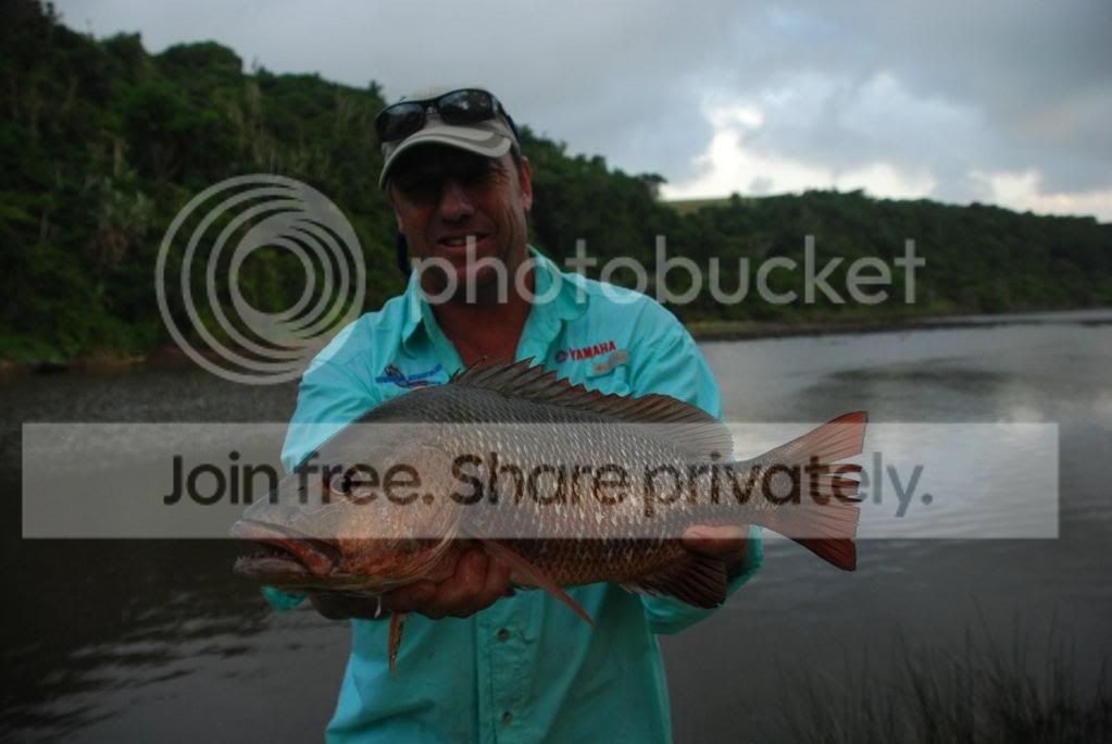 A tribute to the River Snapper.