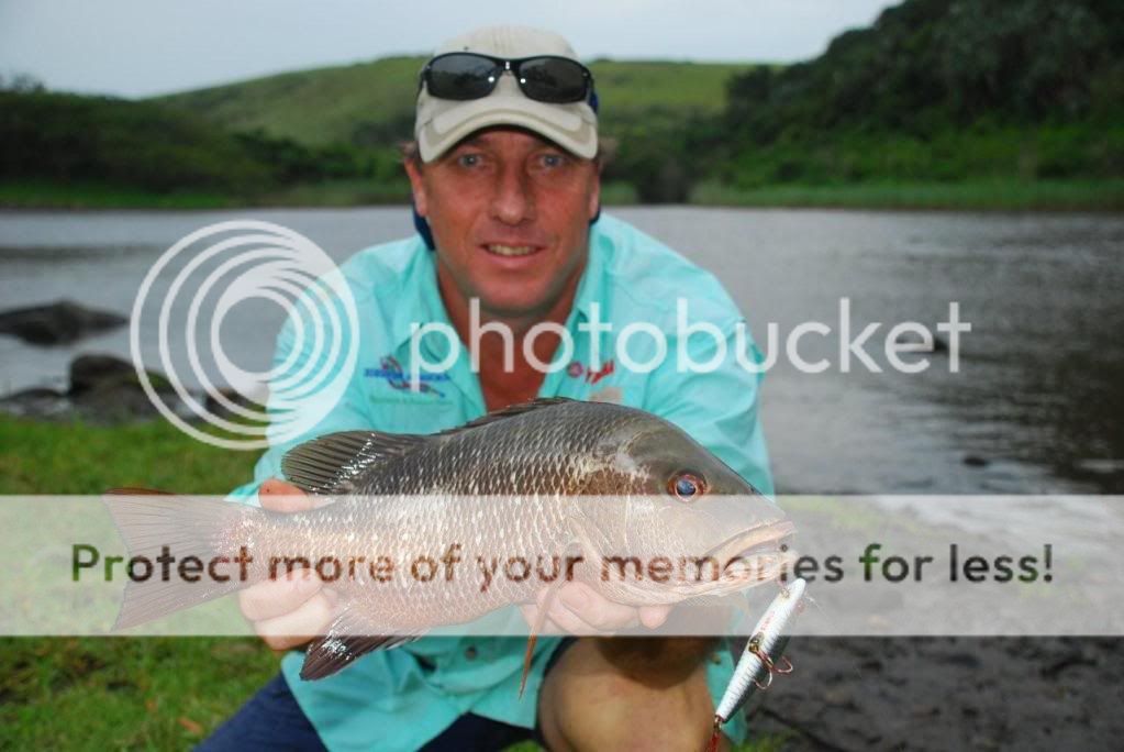 A tribute to the River Snapper.