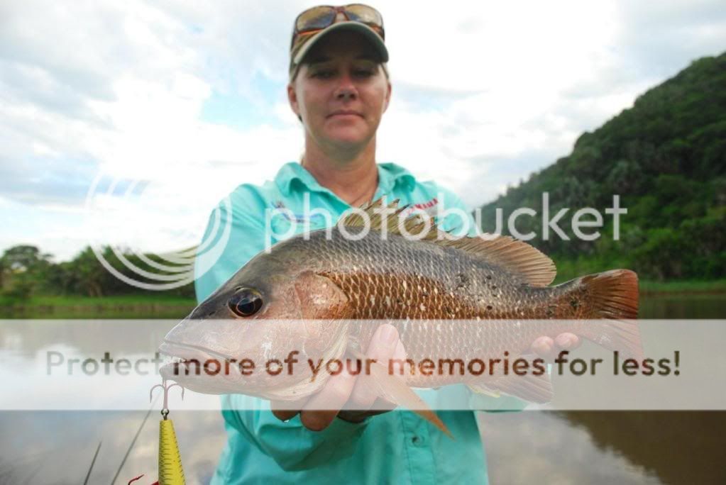A tribute to the River Snapper.