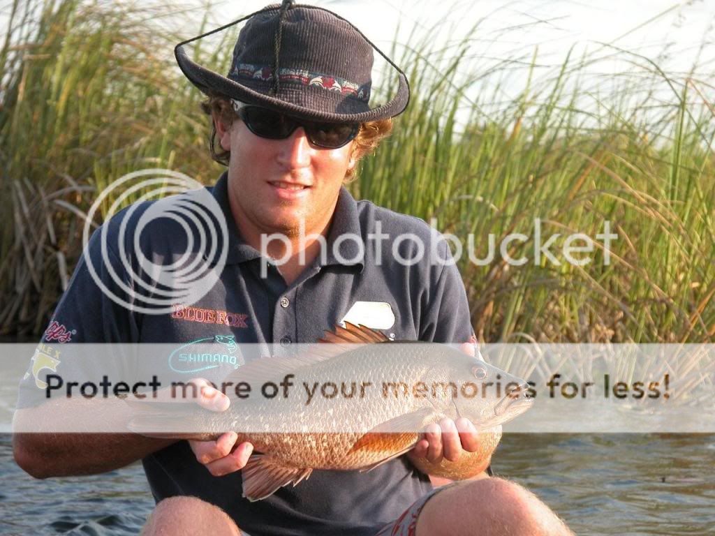 A tribute to the River Snapper.