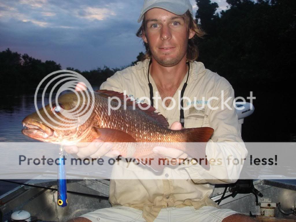 A tribute to the River Snapper.