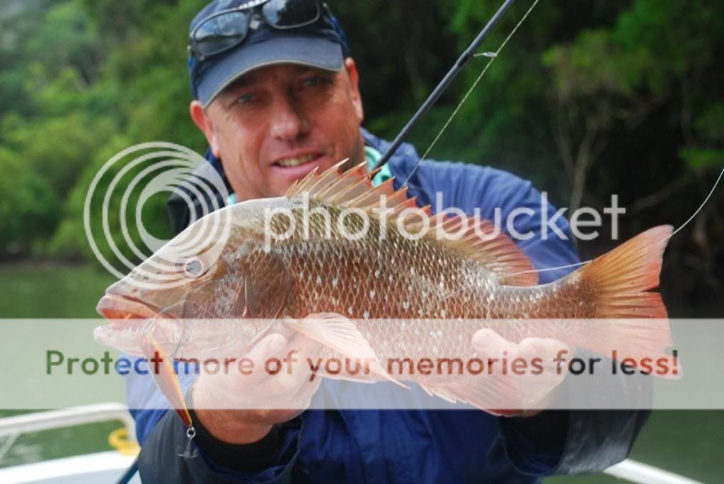 A tribute to the River Snapper.