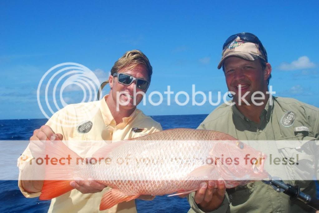 A tribute to the River Snapper.