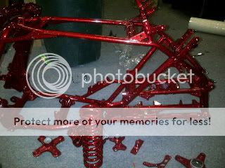 Hulk green 550 and wife's pink duner builds! | Page 2 | YFZ Central