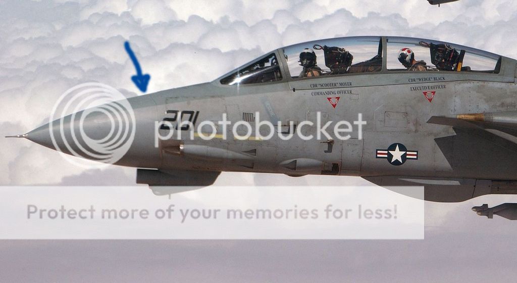 Revell F-14 - Page 4 - LSP Discussion - Large Scale Planes